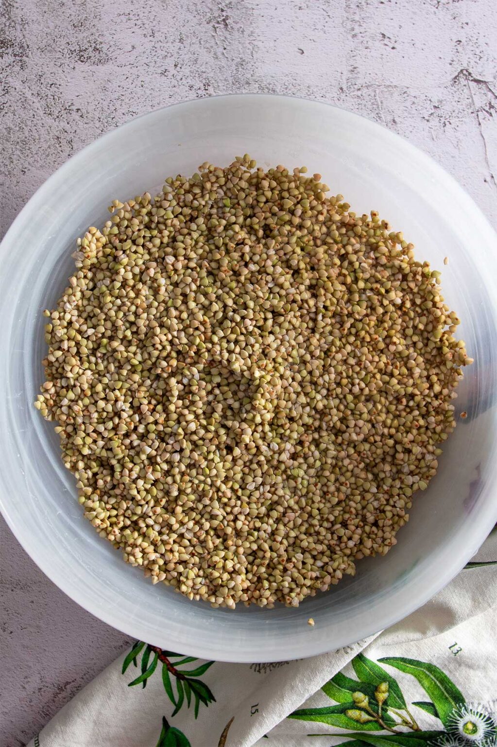 Buckwheat Bread (1 Ingredient, Gluten Free) | plantbaes